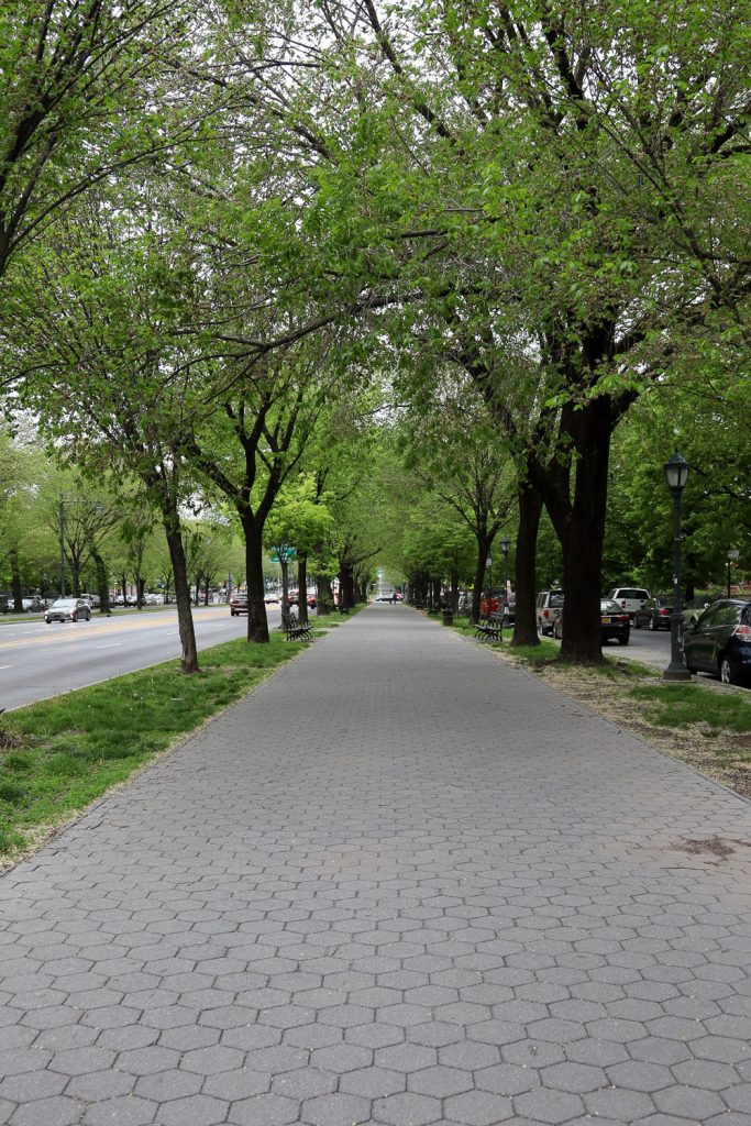 Test Driving the Future: Canon EOS RP Review – G Style Magazine