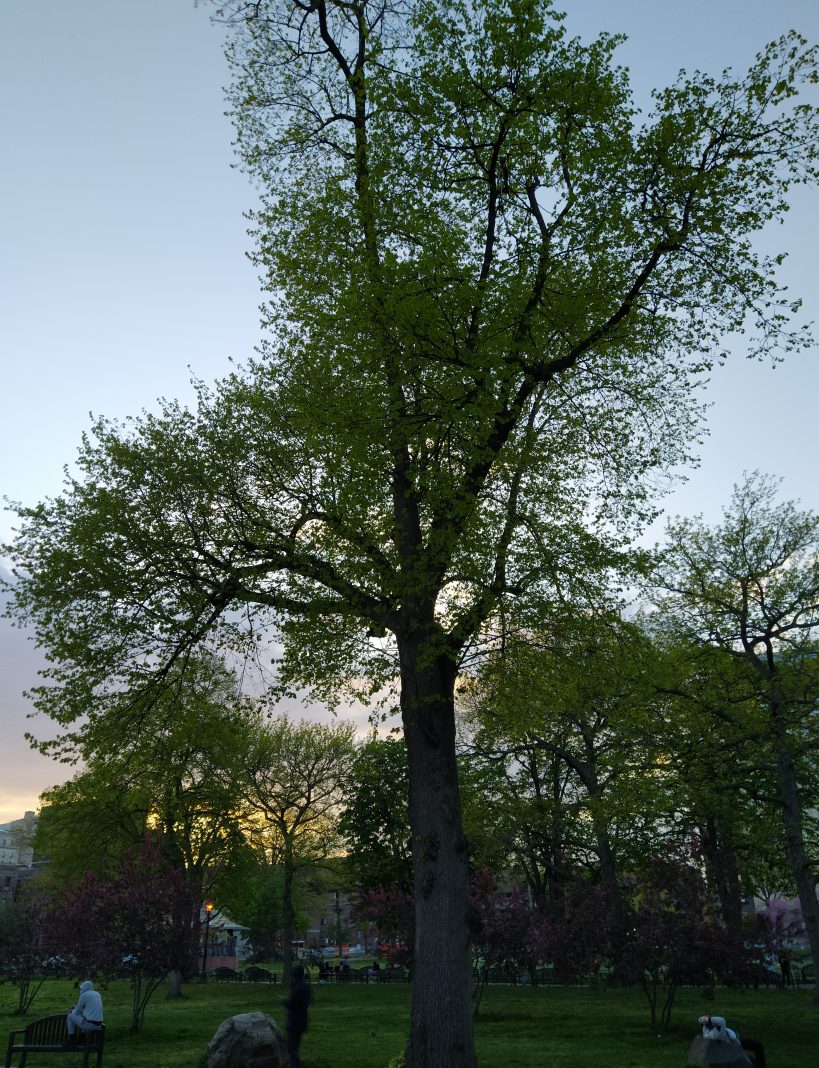 TCL 10L Review – G Style Magazine